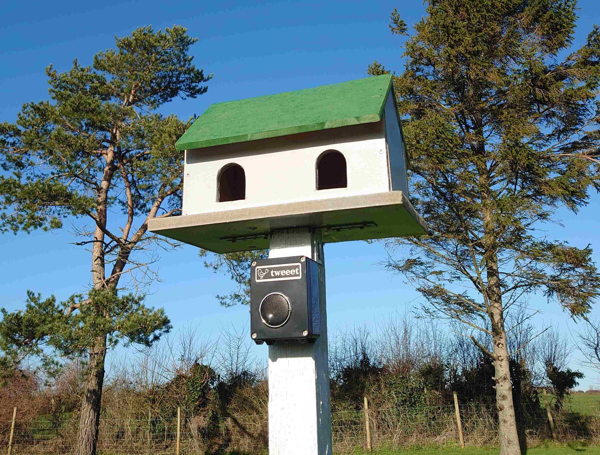 Tweeet Swift and Purple Martin Electronic Bird Caller – Bring Birds To ...